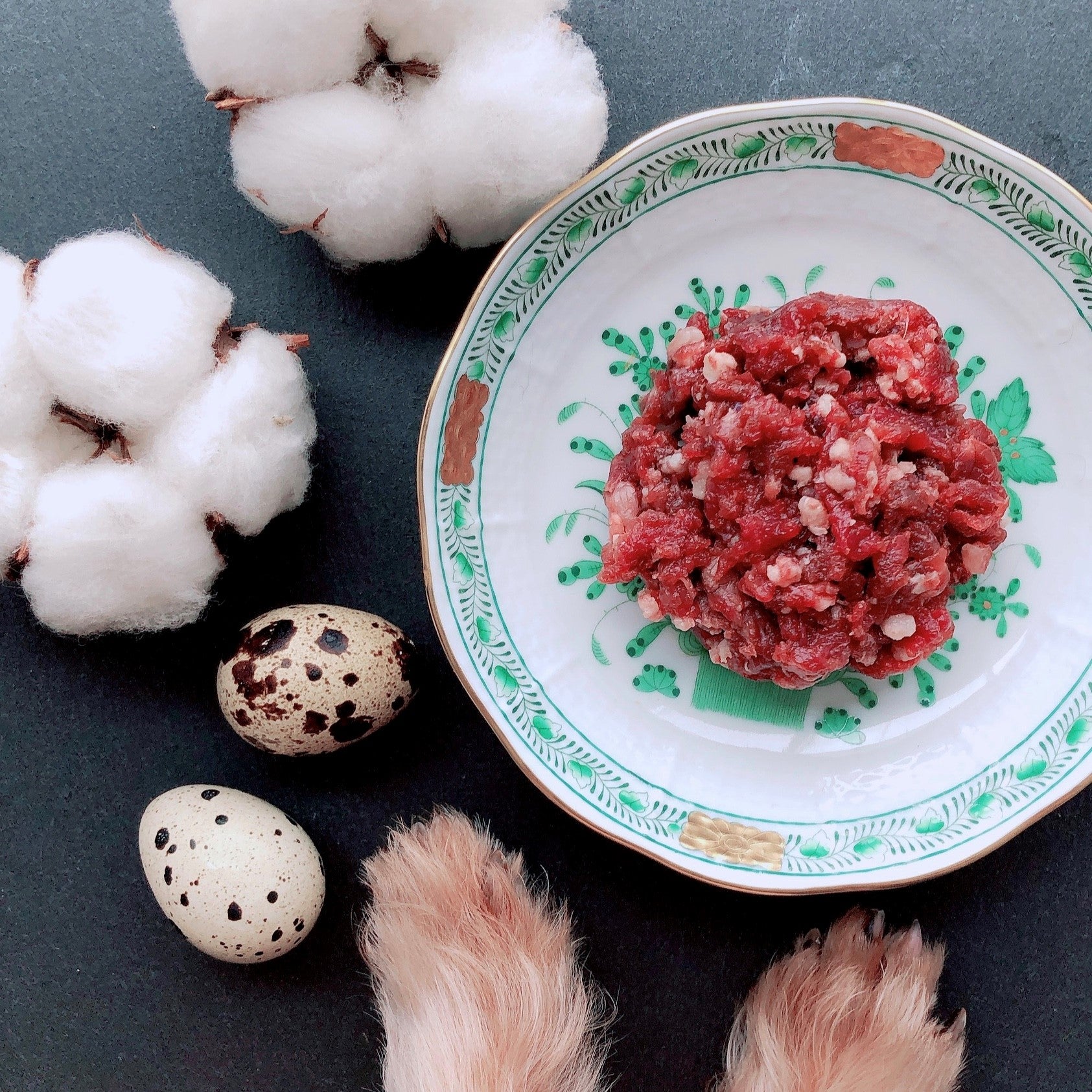 Zasshu ザッシュのご飯とおやつ【大切な愛犬愛猫のために】 – Zasshu®