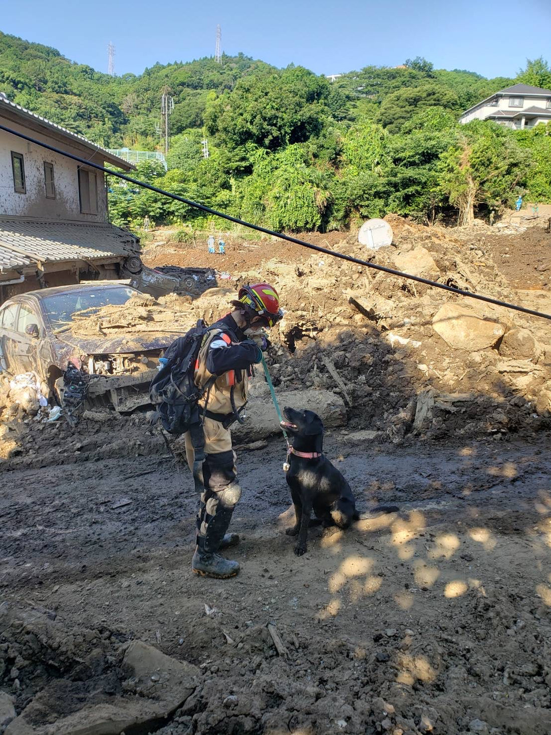 Zasshu（ザッシュ）《公式通販》ペット用品専門店 – Zasshu®